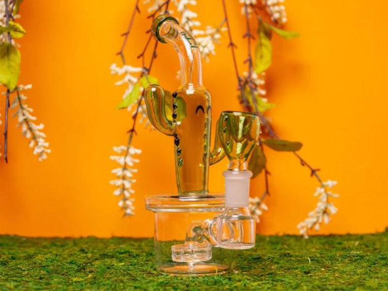 Top 8 Best Cactus Bongs for a Unique Smoking Adventure – INHALCO