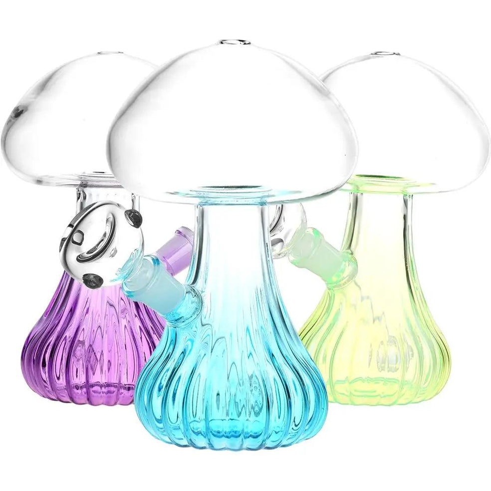 10 Best Mushroom Bongs in 2024 – INHALCO