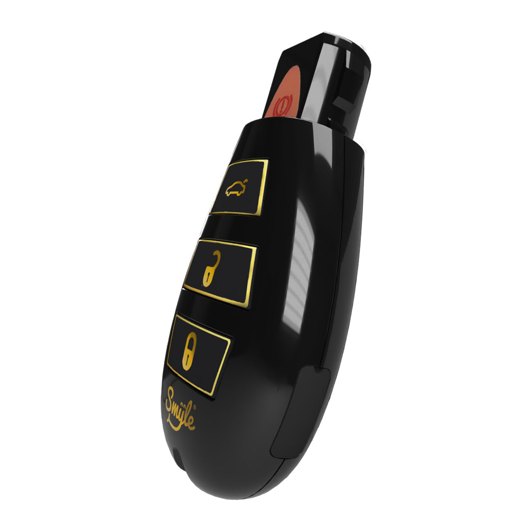 Penjamin Car Key Vaporizer – INHALCO