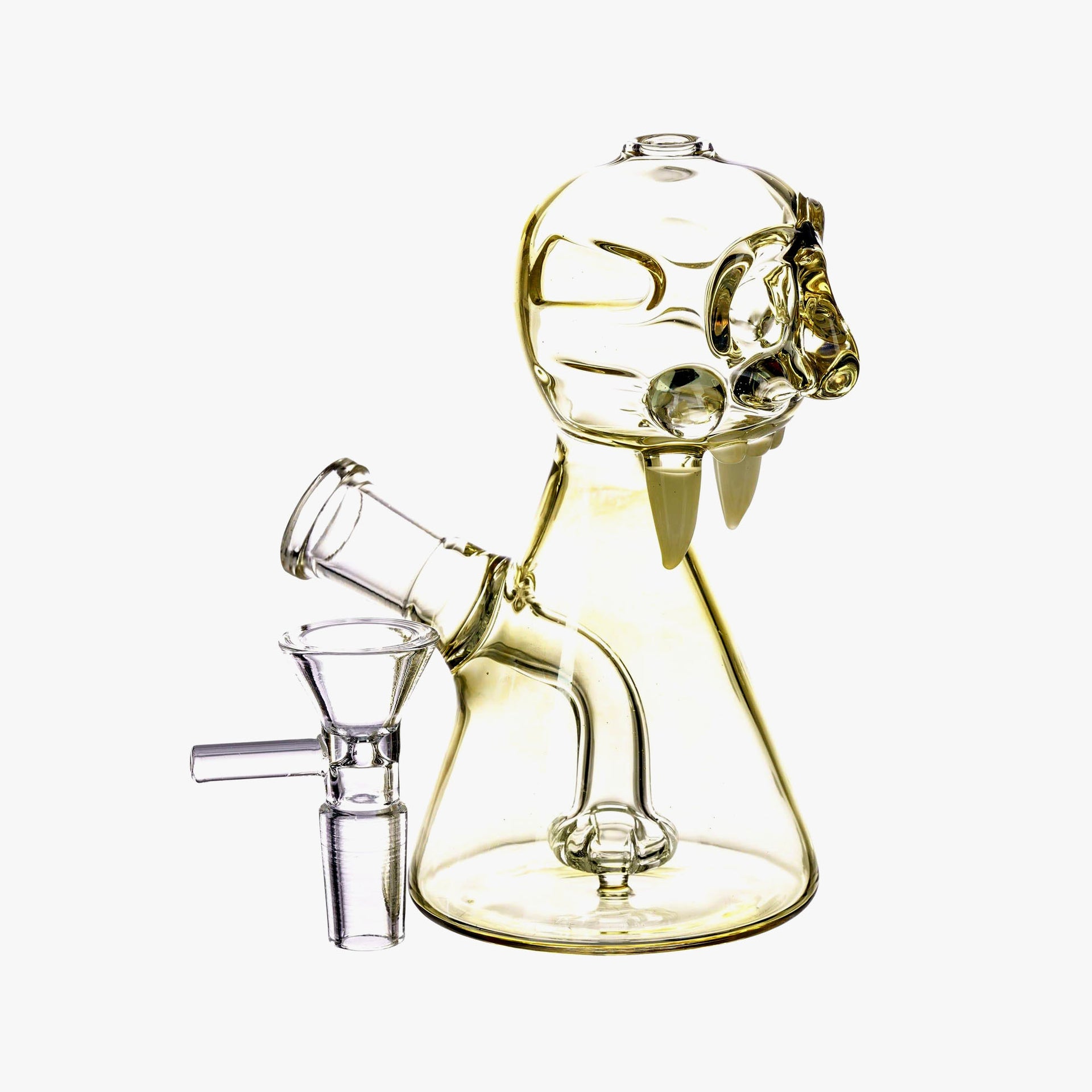 Saber Tooth Monster Skull Water Pipe | INHALCO